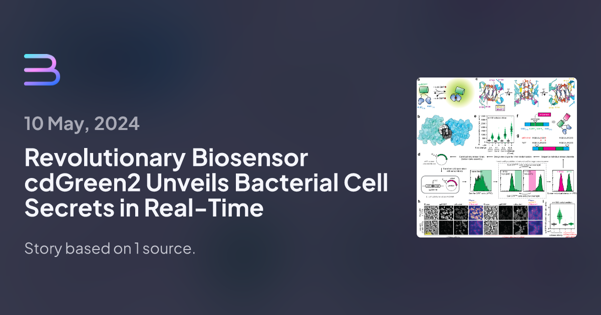 Revolutionary Biosensor cdGreen2 Unveils Bacterial Cell Secrets in Real ...