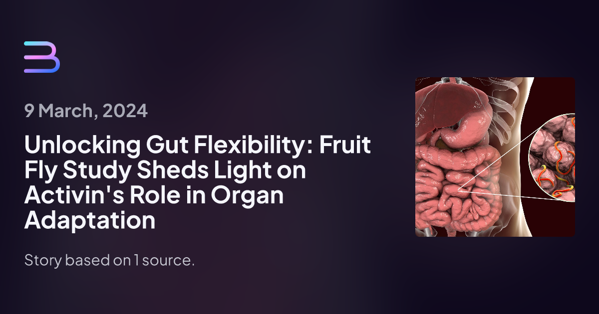 Unlocking Gut Flexibility: Fruit Fly Study Sheds Light on Activin's Role in Organ Adaptation | Brief