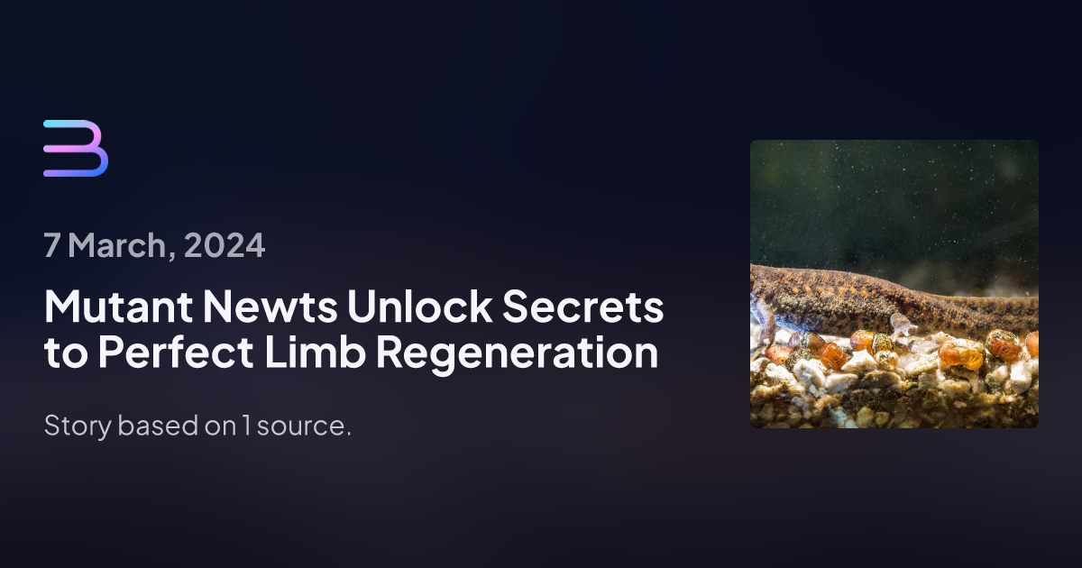 Mutant Newts Unlock Secrets to Perfect Limb Regeneration | Brief